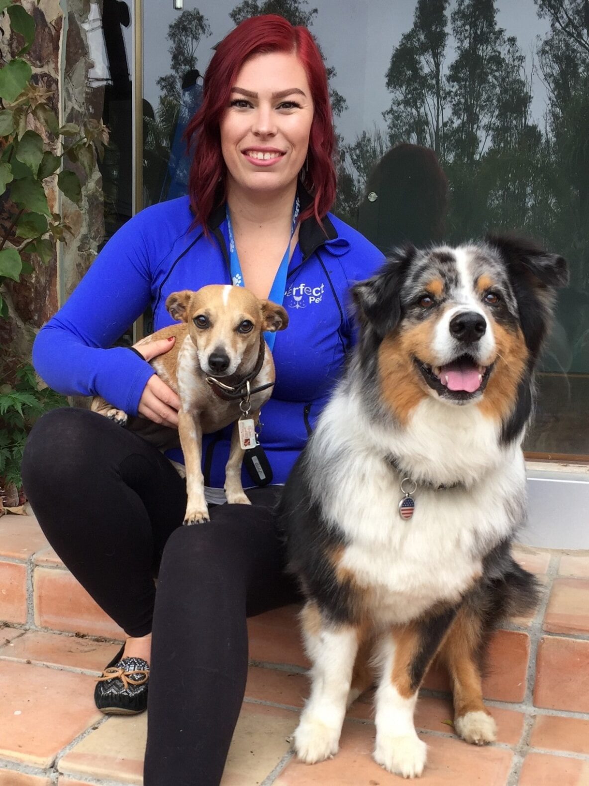 Team - My Perfect Pet - Gently Cooked Pet Food