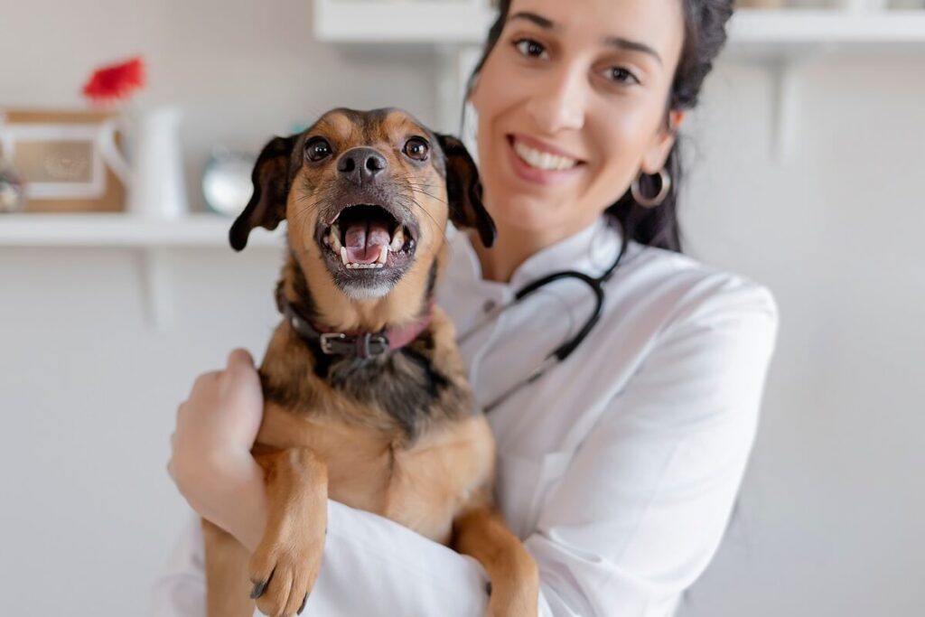 4 All Natural Ways to Kill and Repel Fleas - My Perfect Pet - Gently ...